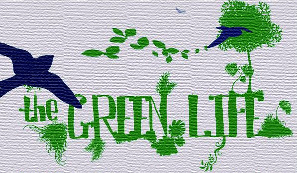 the space in between: Bearing witness to the Green Life