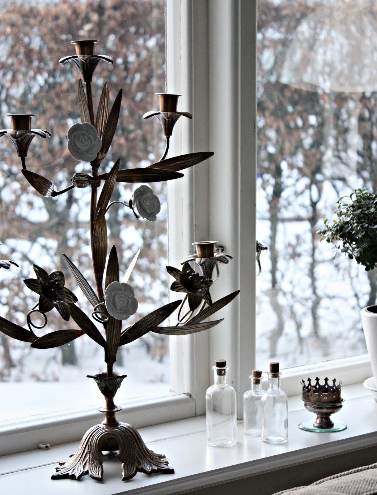 Millas hem: Helt sjuka dagar...