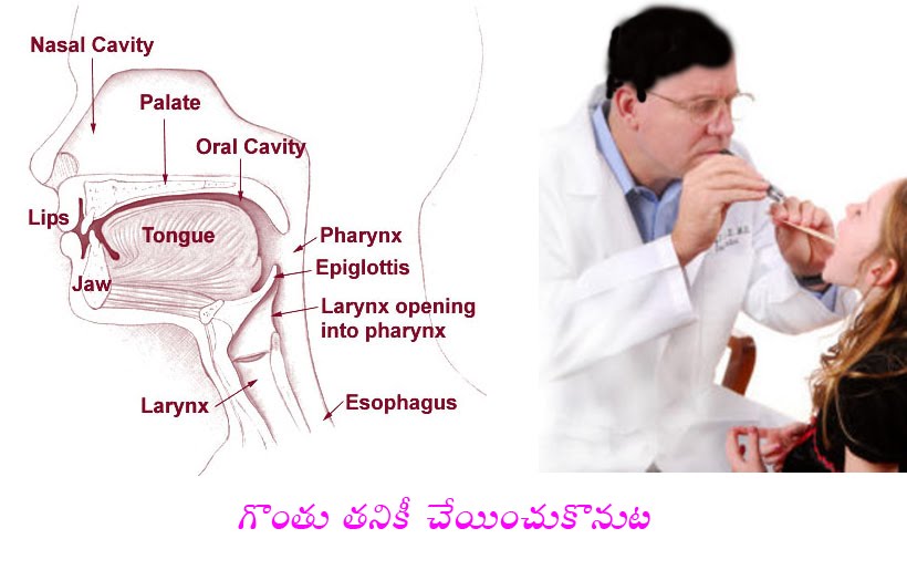 Vydya Ratnakaram Telugu Dr Vandana Seshagirirao vydya-ratnakaram-telugu-dr-vandana-seshagirirao