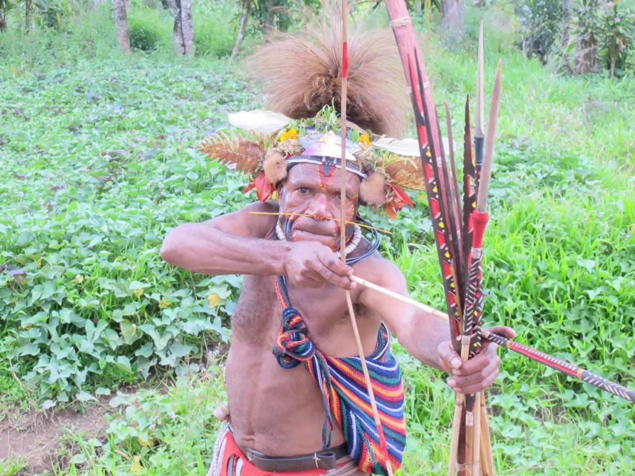 Bill of the Birds on Blogspot: Encountering the Warrior