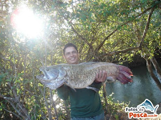 Pescando Pelo Mundo: Trairão