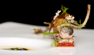 Traveller's Tales: November 2007