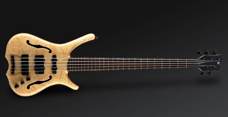 Chambered bodies | Metal Guitarist Forums