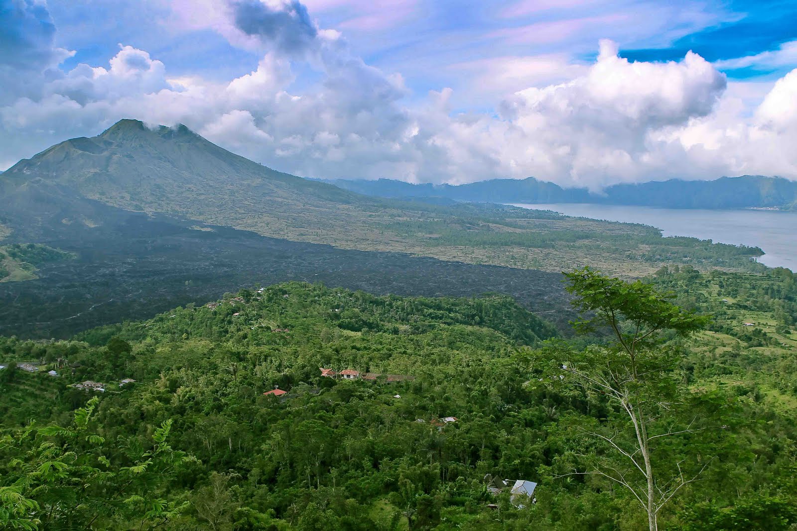 Life of a Lil Notti Monkey: Batur Volcano, Bali Indonesia