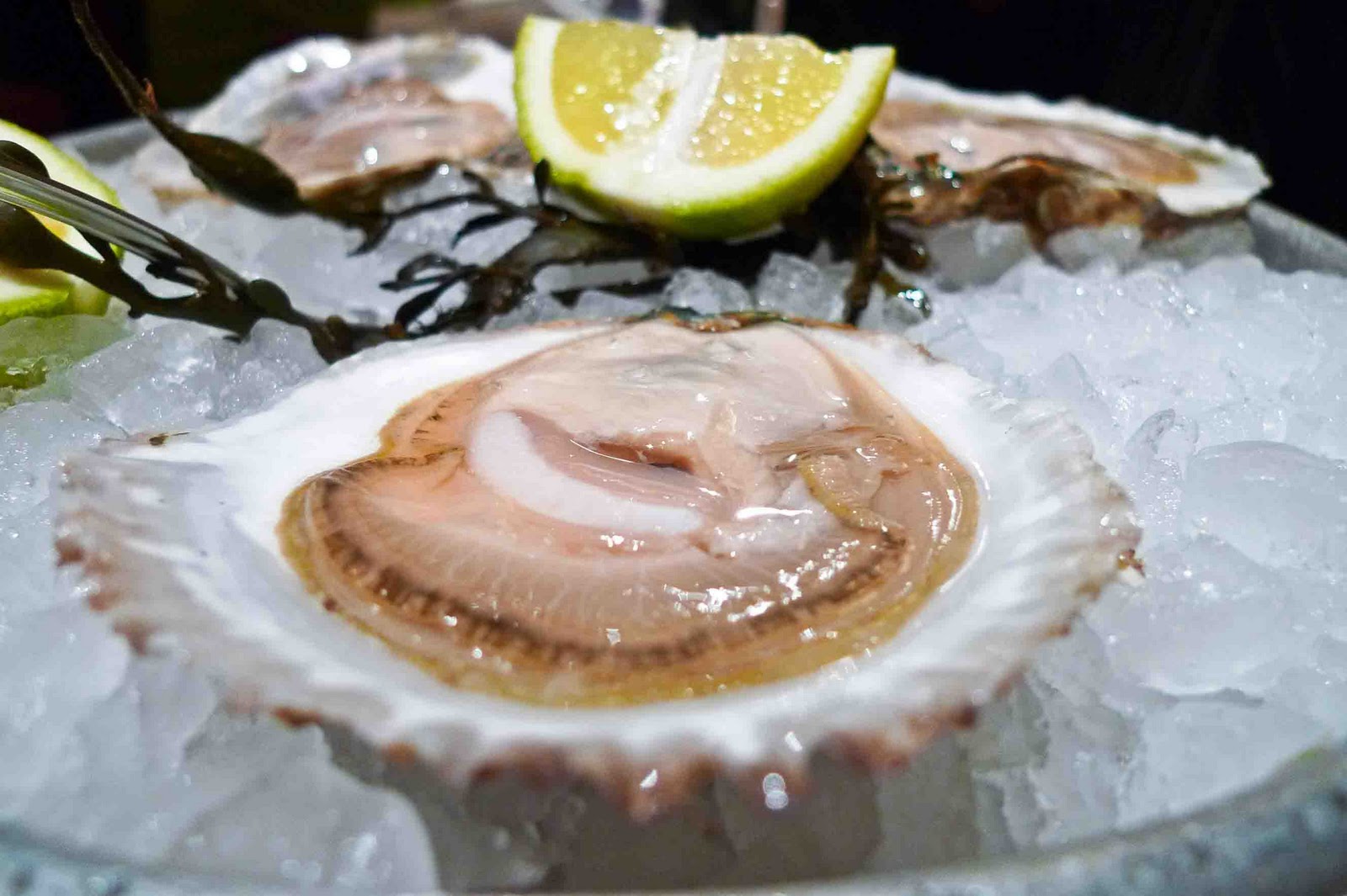 Life of a Lil Notti Monkey: La Rosetta Restaurant, Rome *One Michelin Star*