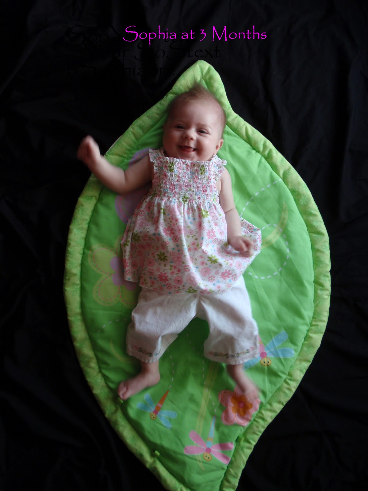 Kaminski's Creations: Measuring A Baby's Growth From Year to Year