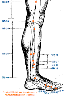 ACUPUNCTURE & ACUPRESSURE: Point Location - GALL BLADDER