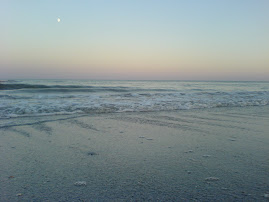 TERENURI CORBU: Mamaia Nord-Loturi de teren langa plaja