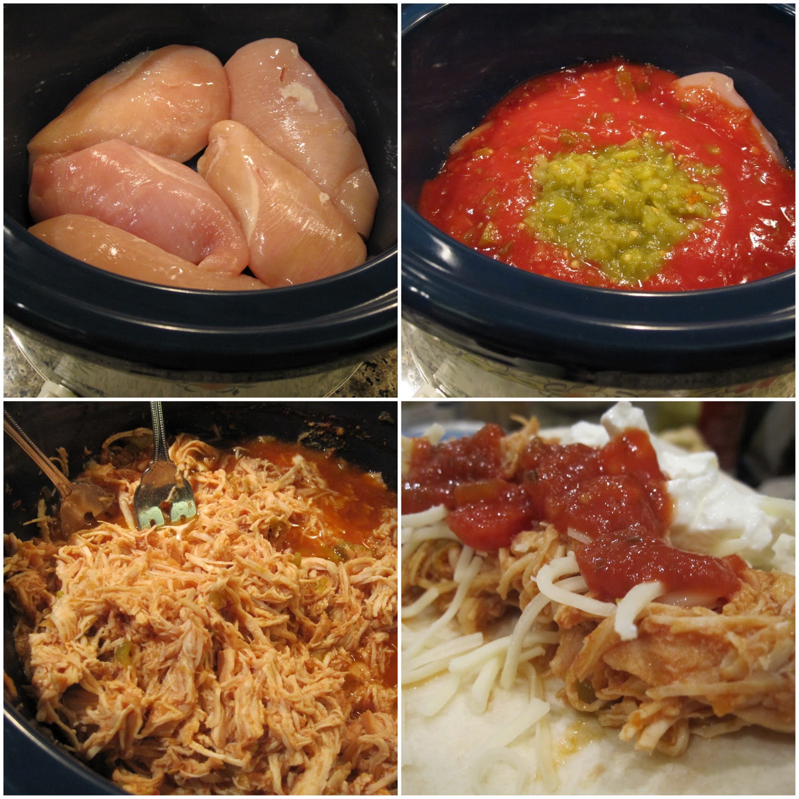 taylor made...: ...Spicy Shredded Chicken
