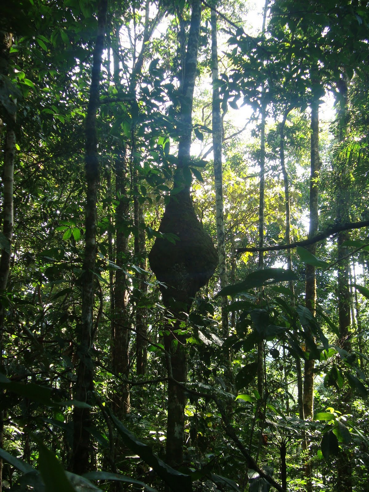Lectura: Paseos Por villagarzon Putumayo