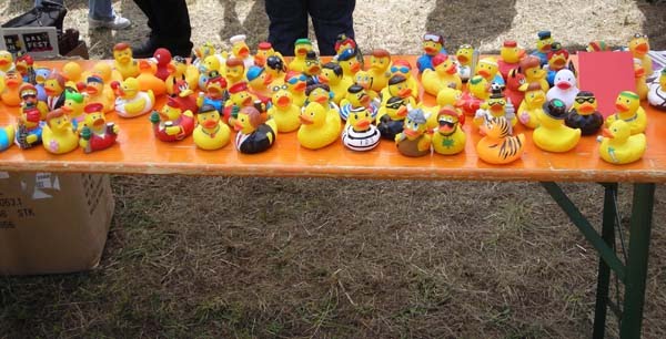 * wunderkammer *: Carrera de patos / Duck Race: Karlsruhe 25.07.2010