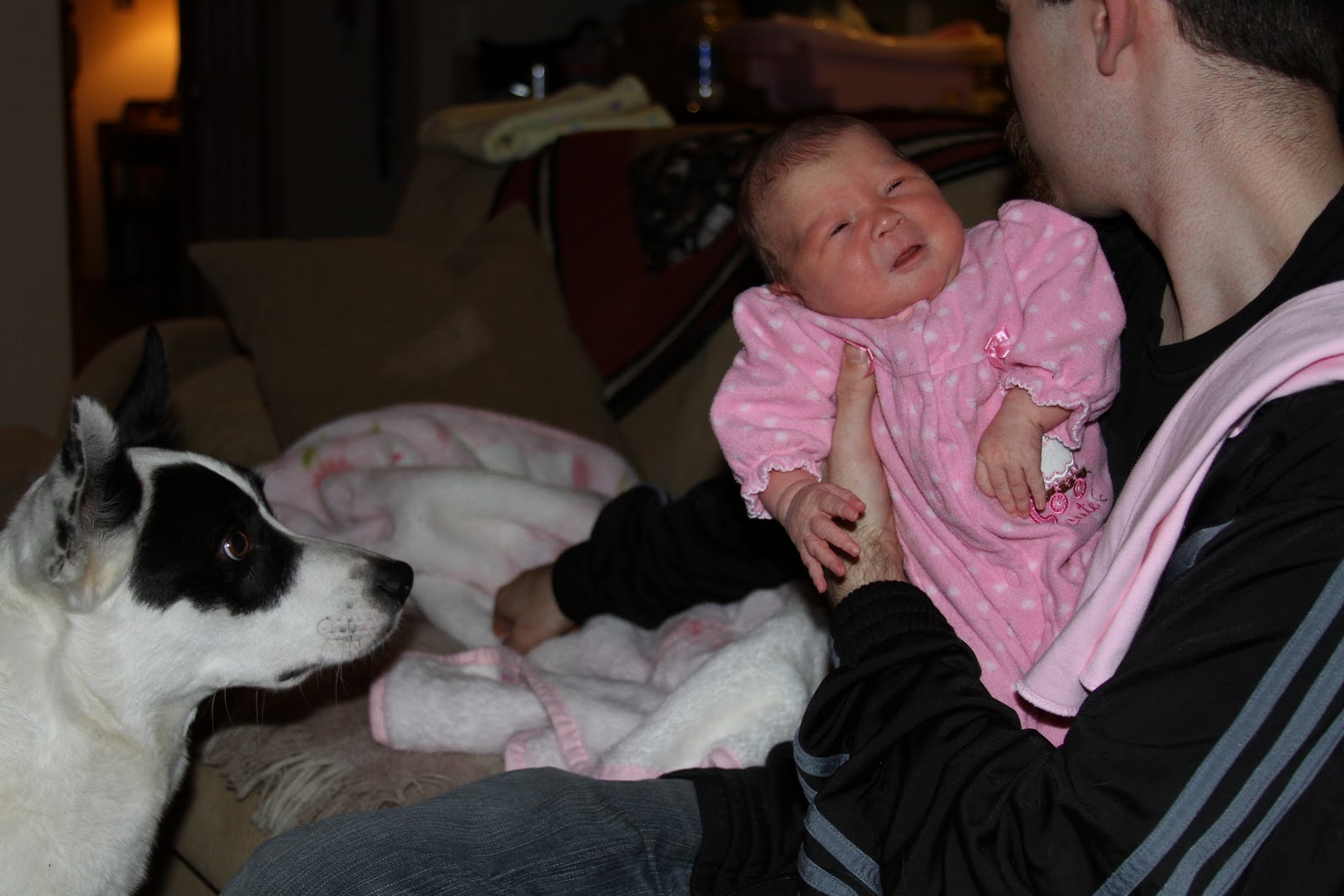 BCxFour: November 2010