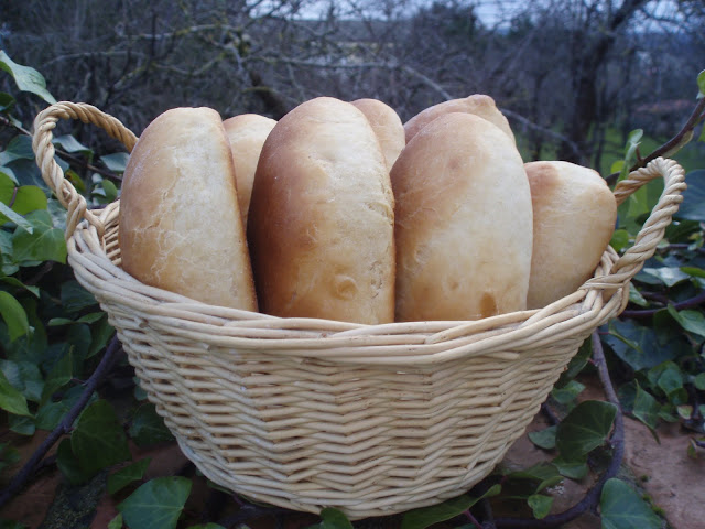 PAN DE VIENA - PASEN Y DEGUSTEN