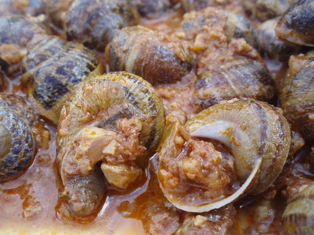 mayo 2008 - PASEN Y DEGUSTEN