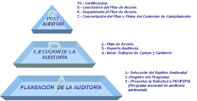 auditoria