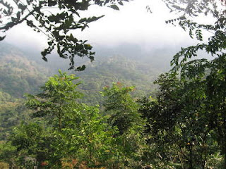La Tertulia de Hoy: Jayaque y sus fiestas patronales.