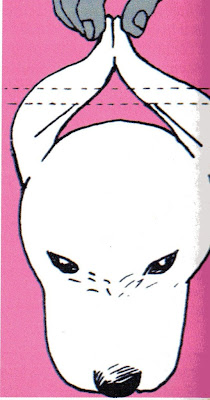 BRAVURA DEL AYAR: Conchectomia ou Corte de Orelhas