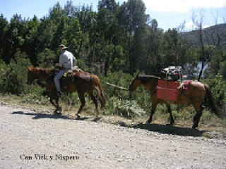 suraniasaiseninas: El Pilchero