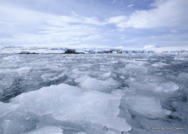 Polarized: More ice? Less ice? Both, and both matter.