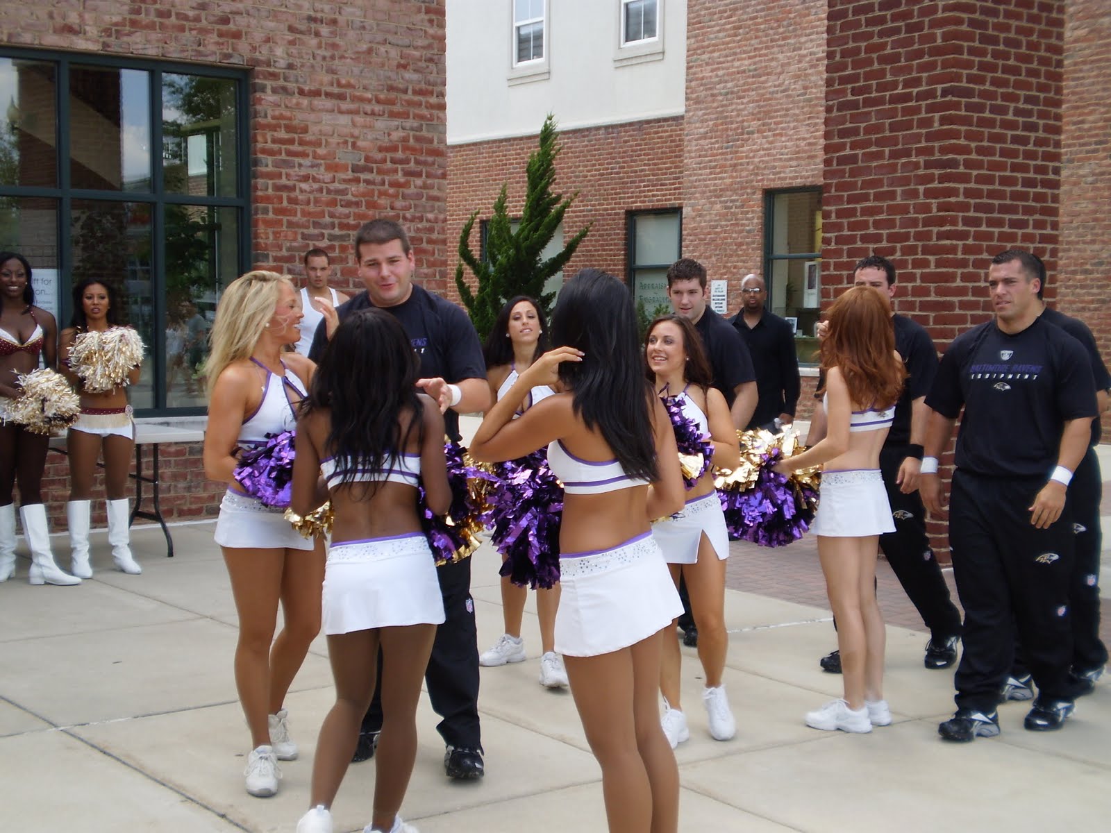 Pro Cheerleader Heaven Baltimore Ravens Cheerleaders