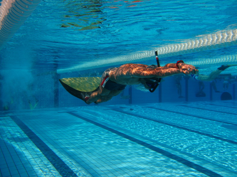 alejandro-aletas: que es natacion con aletas