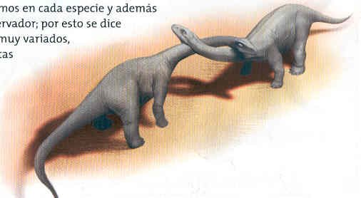 dinosaurios: CORTEJO.