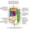 Agrupación "7 de Mayo" - Córdoba: Detalles del Escudo del Partido ...