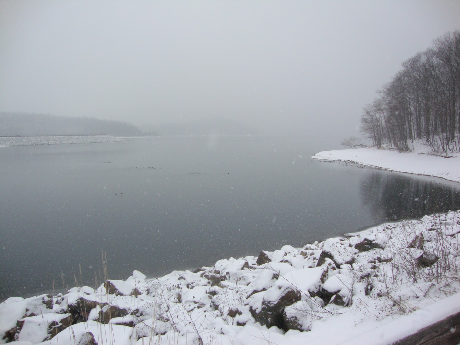 Grow Damnit!: Who goes fishing in a snow storm?