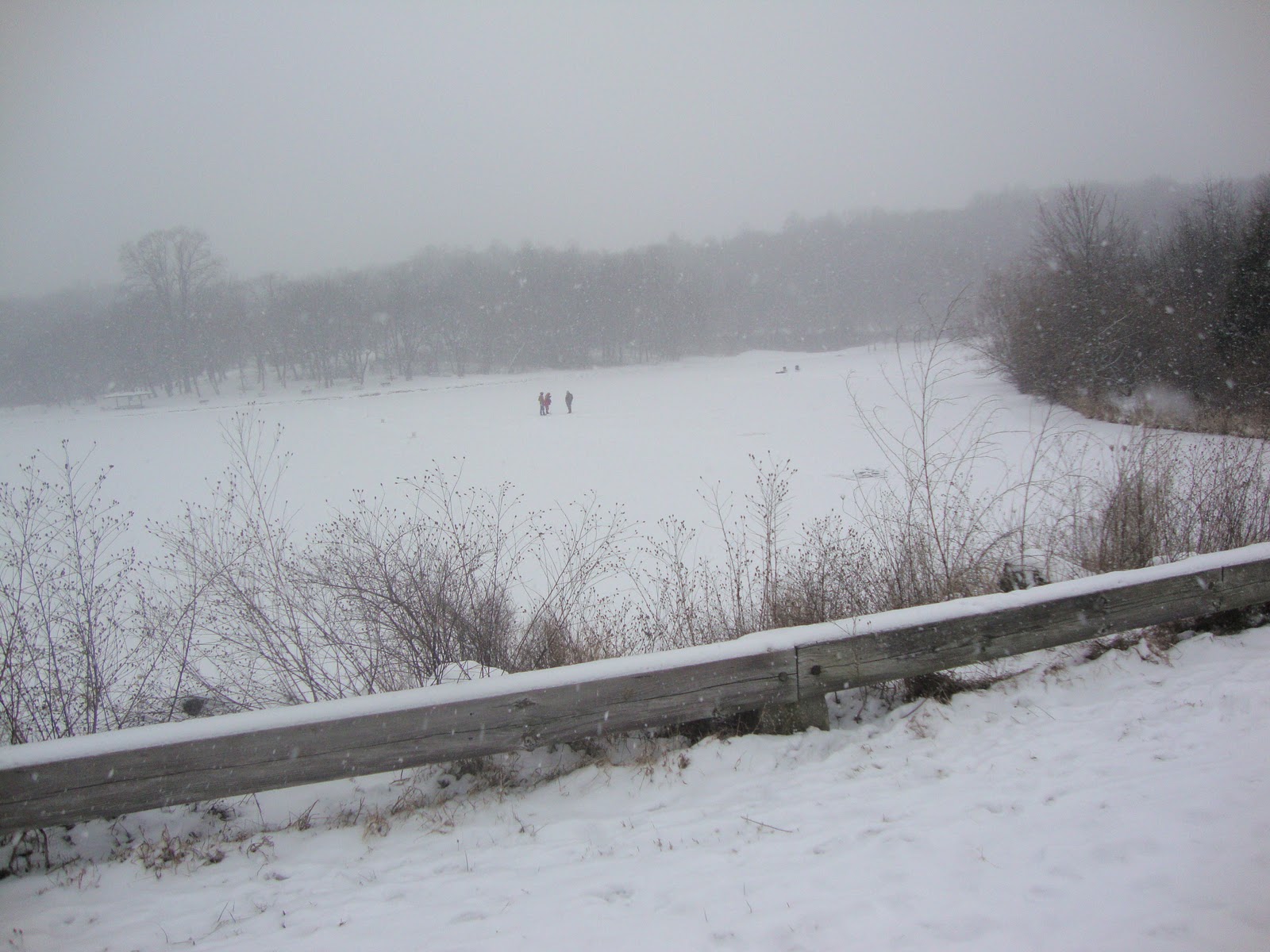 Grow Damnit!: Who goes fishing in a snow storm?