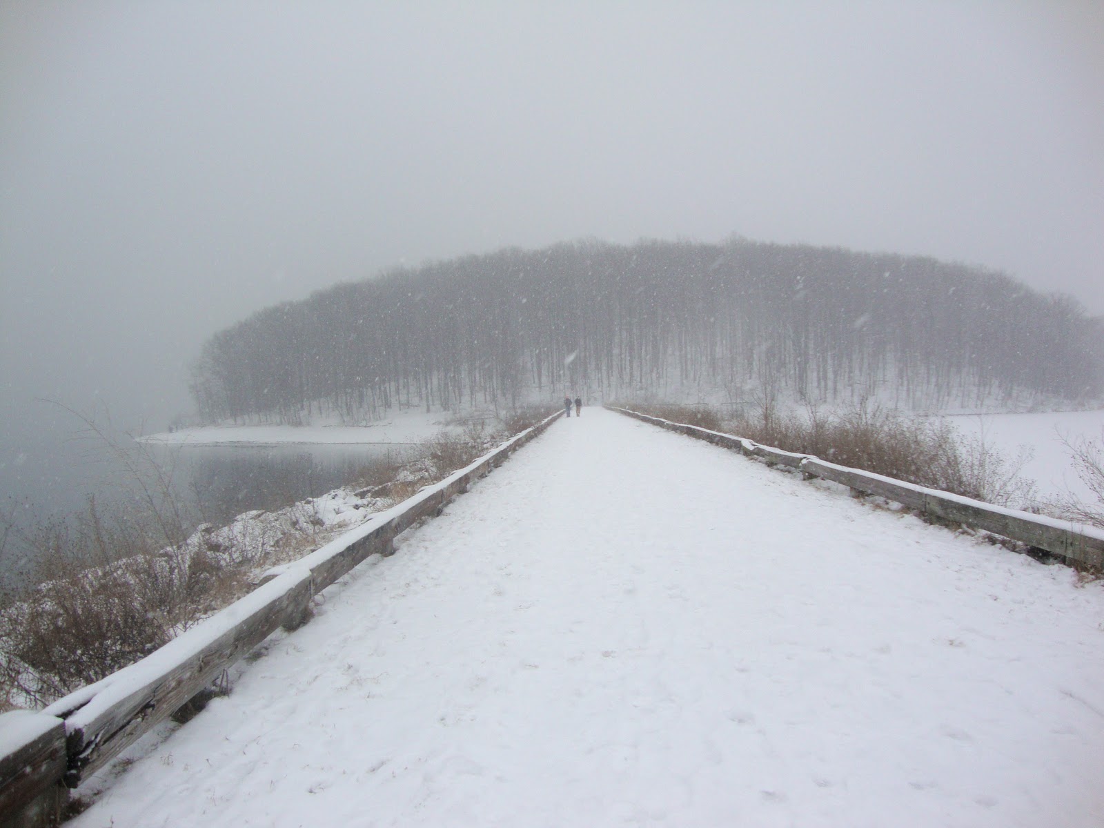 Grow Damnit!: Who goes fishing in a snow storm?