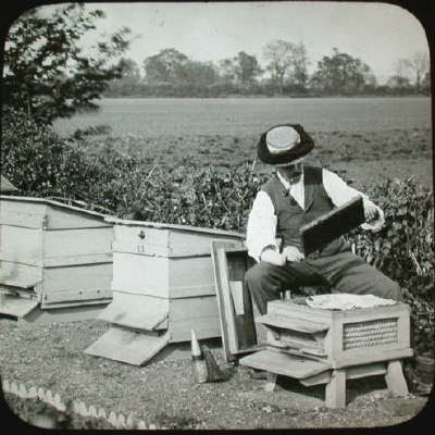 Güner KAYRAL: Nisan 2007