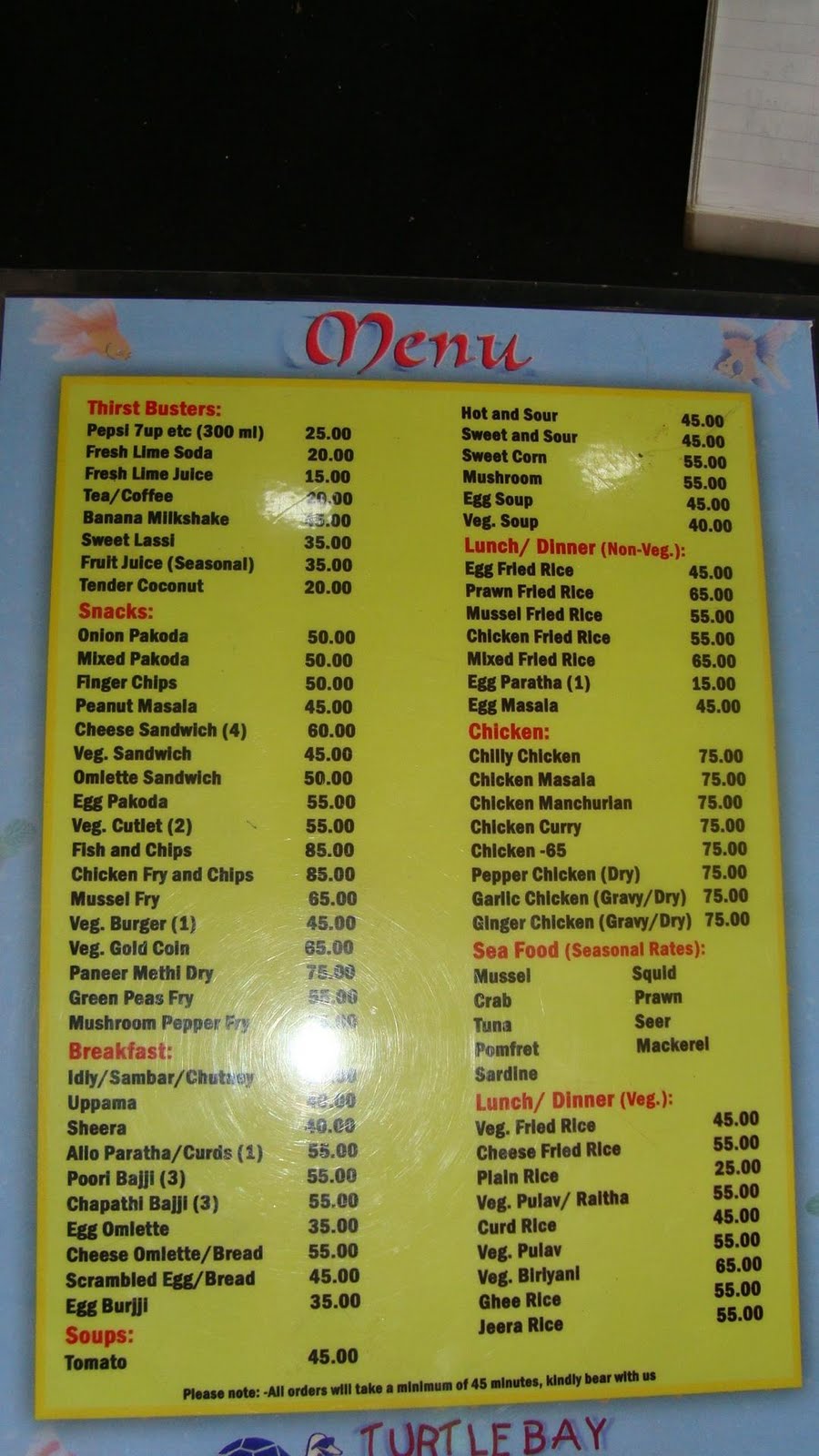 Travel Living: Virgin/Untouched Turtle Bay Beach Resort