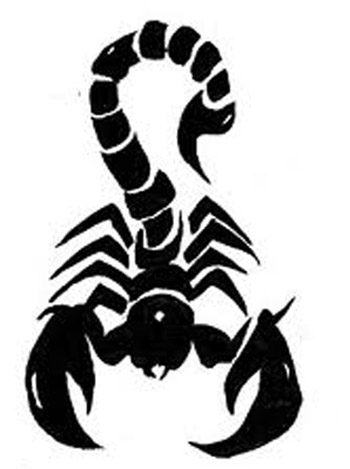 Graffiti Art Designs Gallery: GRAFFITI SKETCHES SCORPION DESIGN WITH 3D ...