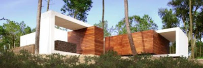 Solution Looking For a Model and Design Home: FOREST LAYOUT MODERN ...