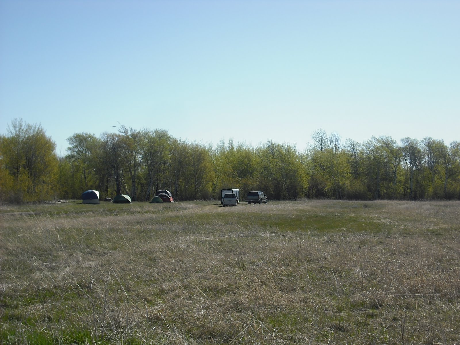Eastern Idaho Camping: Warm Slough