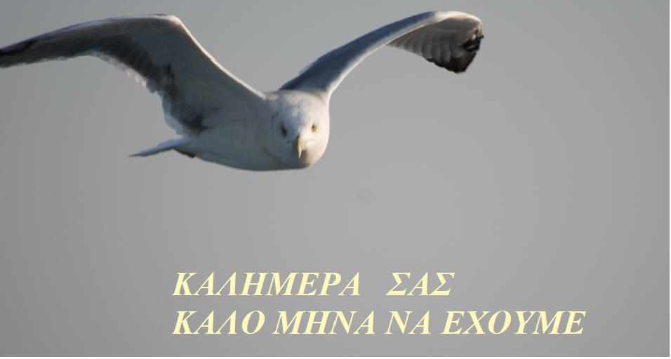 ΟΝΕΙΡΕΜEΝΑ ΧΡΟΝΙA: ΚΑΛΗΜΕΡΑ ΚΑΙ ΚΑΛΟ ΜΗΝΑ!!!!!!!!!!!!!!