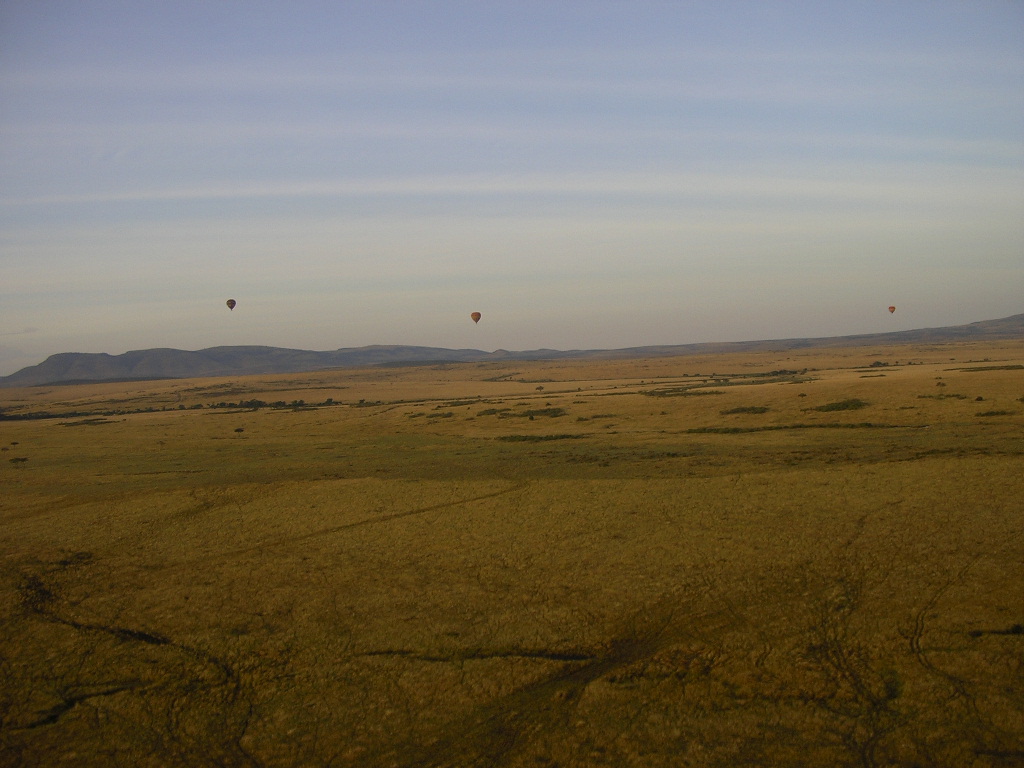 Safari Kenya | In balon, peste savana...