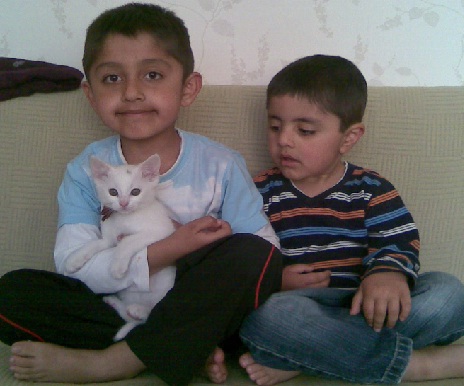 Shinka1-kids-pix-blog