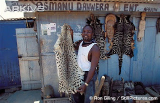 SALVE AS LAGAIAS: IMPORTÂNCIA DAS LAGAIAS