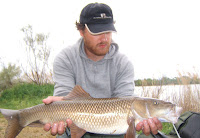 Prebaiting for Comizo Barbel!