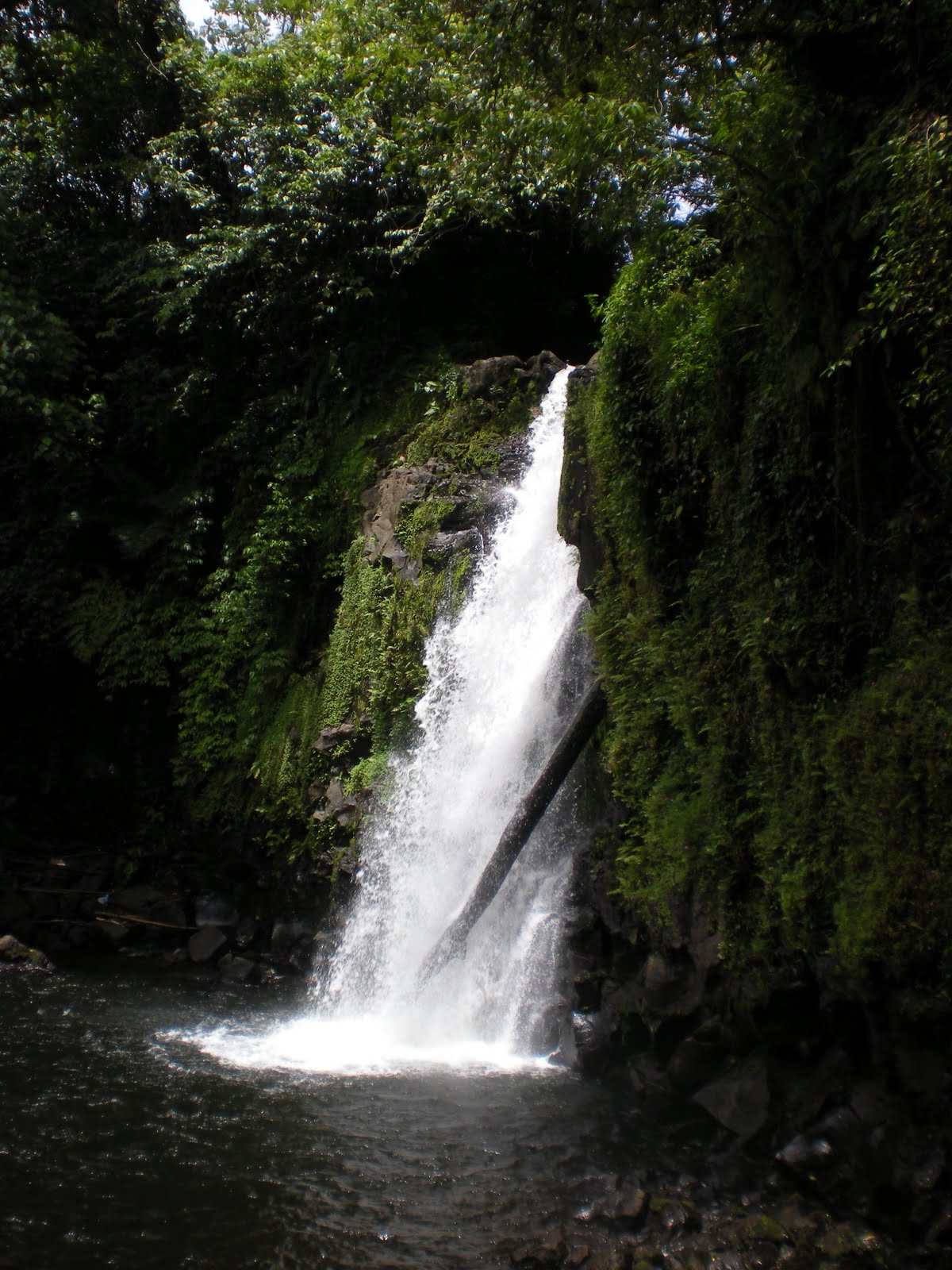 Hiking in Pohnpei, FSM: Liduduhniap Waterfall
