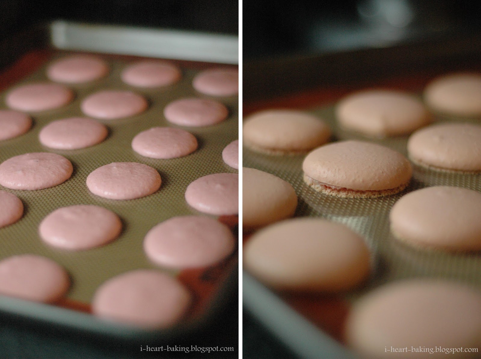 i heart baking!: strawberry macarons
