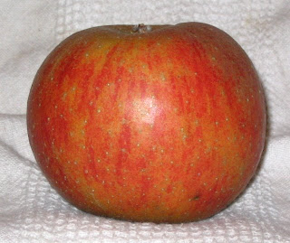 Ribston Pippin ** - Adam's Apples
