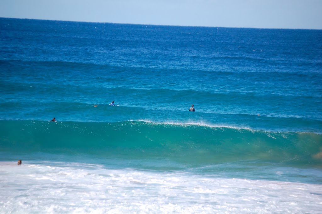 Surf Culture: Avalon Beach