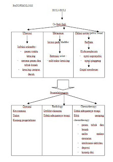 ASUHAN KEPERAWATAN KARSINOMA BULI (CA BULI)