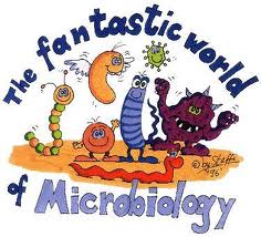 mundo microbiano: " la microbiologia : ciencia encargada del estudio ...