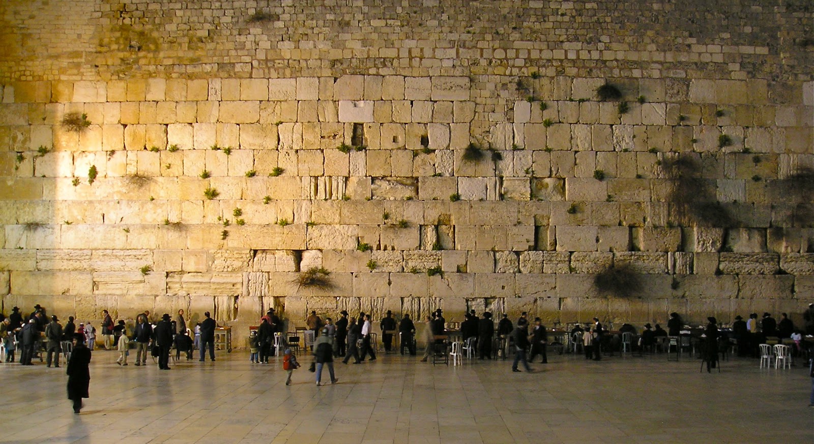 all new pix1: Yad Wallpaper