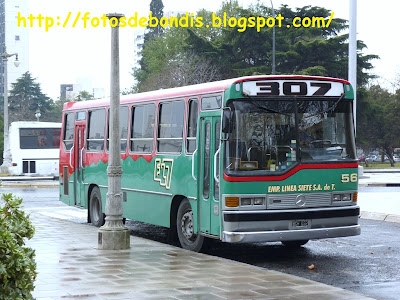 Fotos de Omnibus: LÍNEA 307