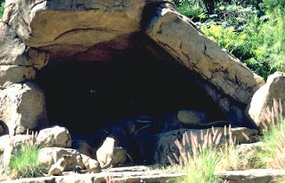 virdz educ blog: Some Animals Live in Rock Caves