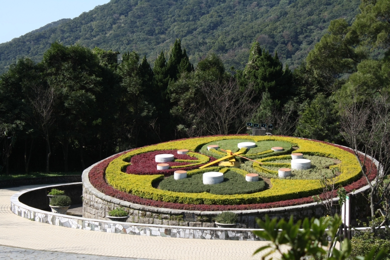 My Little Corner Yang Ming Shan